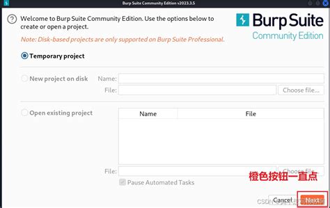 使用burp Suite对登录页面进行字典攻击 Csdn博客