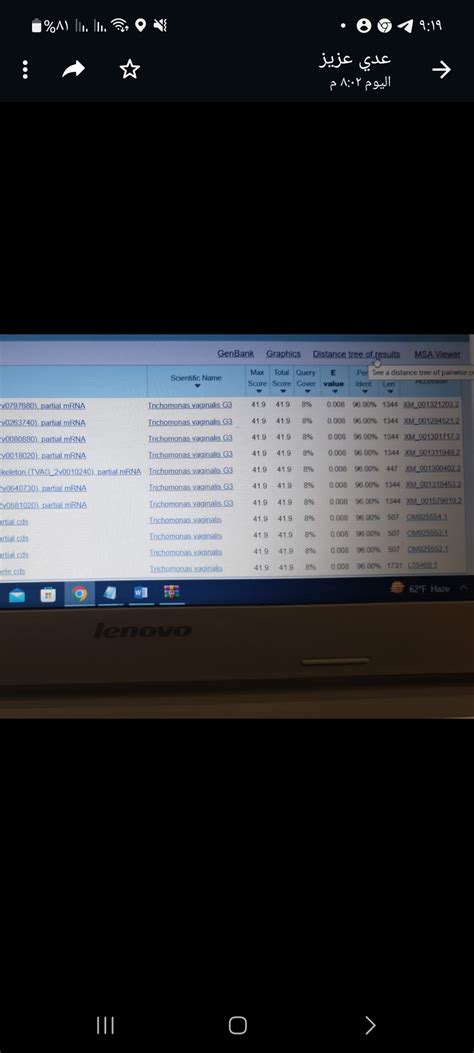 Blasting Result Evaluation Researchgate