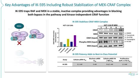 Mek Raf Complex Inhibitor Ik 595 Confidential 15