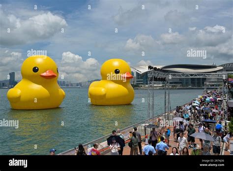 CHINESE MAINLAND HONG KONG MACAU AND TAIWAN OUT A Pair Of Giant