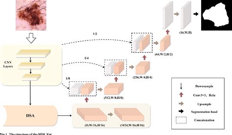Figure 1 From Hds Net Achieving Fine Grained Skin Lesion Segmentation
