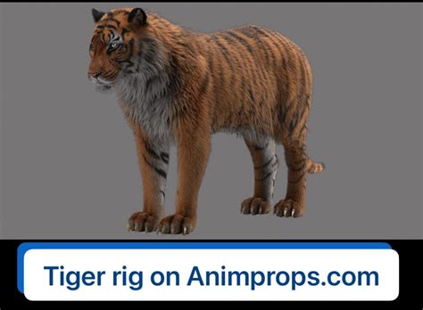 Animation 3danimation Rigging 3drigging Modeling 3dmodeling