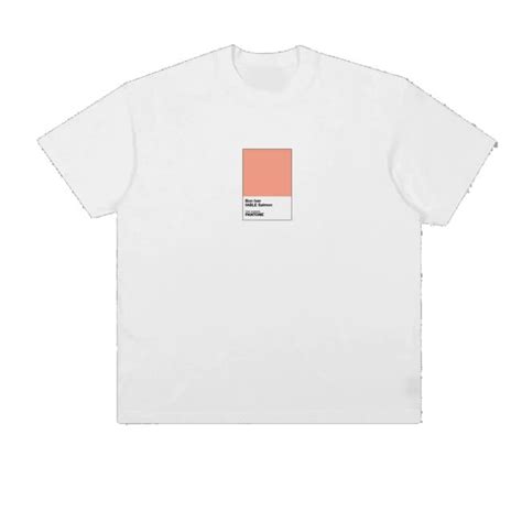 Bon Iver Store Merch Fable Salmon Tee Newest Fashion Trends