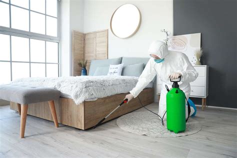 How Much Does Fumigation Cost