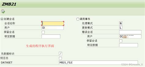 Sap 批量数据维护工具总结（bdccattlsmw）sap Catt Csdn博客