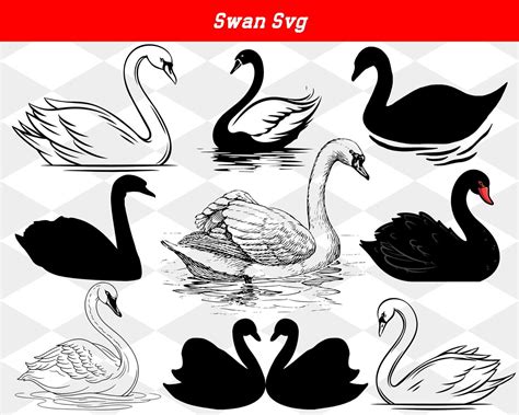 Swan Svg Bundle Swan Svg Files Swan Silhouette Swan Clipart Swan