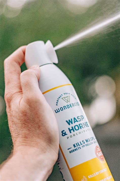 Wasp And Hornet Spray Easily Takes Down Hives And Kills Wasps