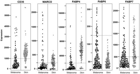 Expression Of Genes Related To Lipid Handling And The Obesity Paradox In Melanoma Database