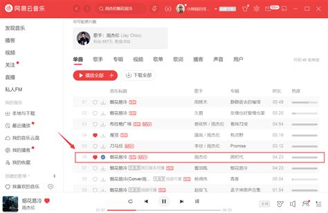 网抑云电脑端资源，灰色无版权、黑胶音乐已解锁！ 奥兔兔