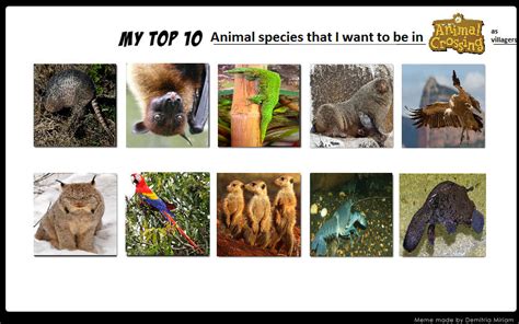 Jinnekos Animal Crossing Villager Species Hope By Royalclaws12 On