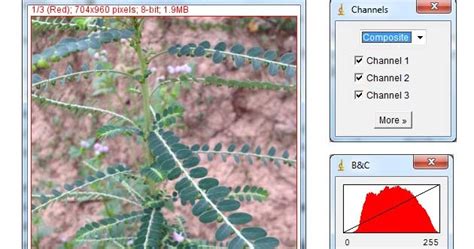My Imagej เมนู Image With Imagej ตอนที่ 15 Make Composite