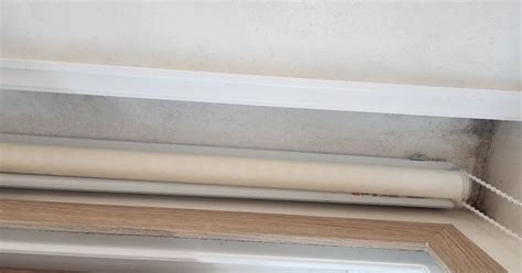 합리적인 가격으로 눈앳가시였던 곰팡이 슨 천장이 깨끗해졌습니다 빠르고 꼼꼼히 작업해주셔서 감사합니다~~ 숨고 숨은고수