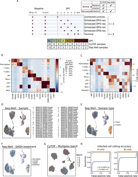 Single Cell Profiling Of Ebola Virus Disease In Vivo Reveals Viral And Host Dynamics Cell