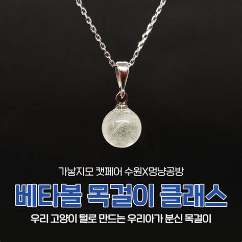 [가낳지모 캣페어 수원] 우리 고양이 털로 만드는 베타볼 목걸이 클래스 가낳지모 캣페어