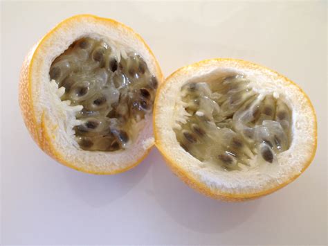 Buy Sweet Granadilla Passionfruit Vine Plats Passiflora Ligularis