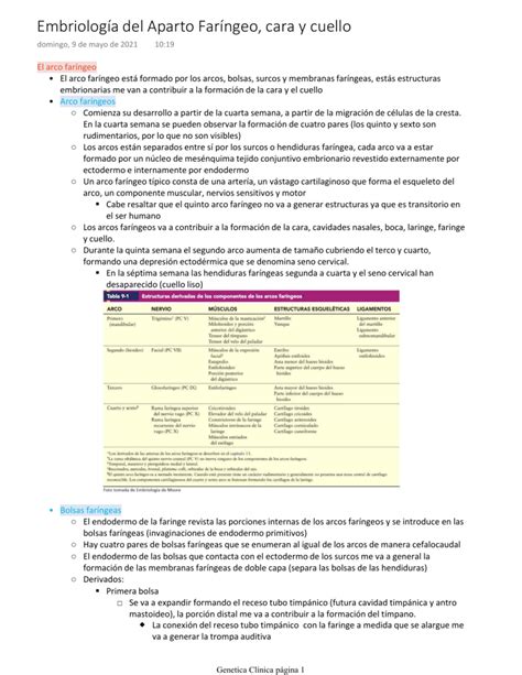 Embriología del Aparto Faríngeo cara y cuello
