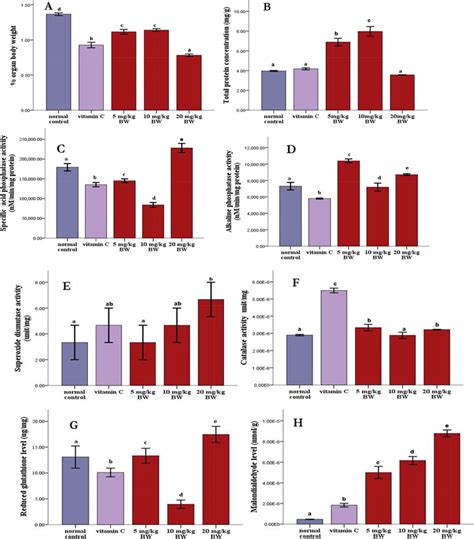 Testicular Organ Body Weights Ratio A Total Protein Concentration B