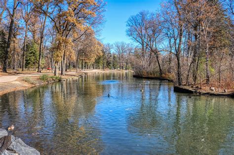 Autumn Pond Trees Free Photo On Pixabay Pixabay