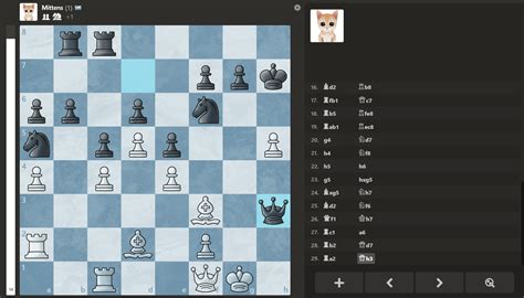Why Did Mittens Play This Move Isnt It Like 3000 R Chess