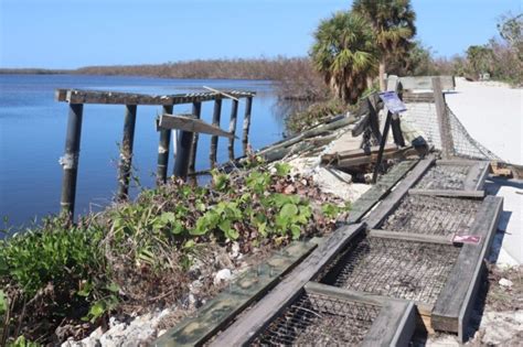 How Is Ding Darling National Wildlife Refuge After Hurricane Ian