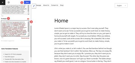 How To Translate Wordpress Websites In Beginner S Guide