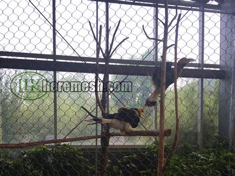 Large Bird Mesh Large Bird Fence Mesh Stainless Steel Cable Mesh