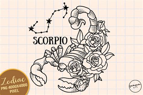 Scorpio Floral Zodiac Sign Sublimation Graphic By Samsam Art · Creative