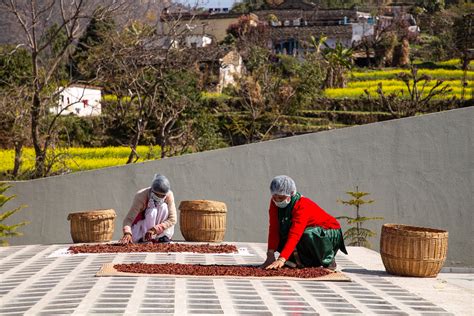 Gallery Of The Lodsi Community Project For Forest Essentials