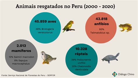 Peru intensifica a luta contra tráfico de vida silvestre