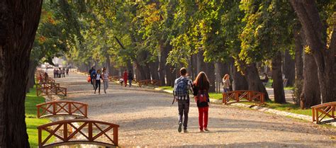 Cmpg Cluj Management And Planning Group