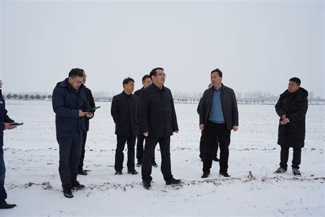 孙巍峰赴洛阳调研乡村富民产业发展、农产品稳产保供、农机装备产业链发展等工作 农业要闻 信阳市农业农村局