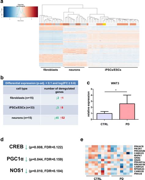Mrna Expression Profiling Of Pd Patient Derived Cell Lines A Heatmap Download Scientific