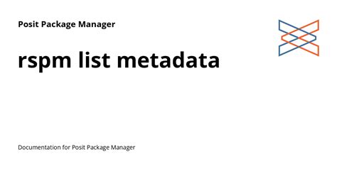 Rspm List Metadata Posit Package Manager