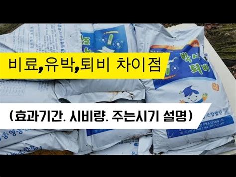 비료 유박 퇴비의 차이점 효과기간 시비량 주는시기 설명 YouTube