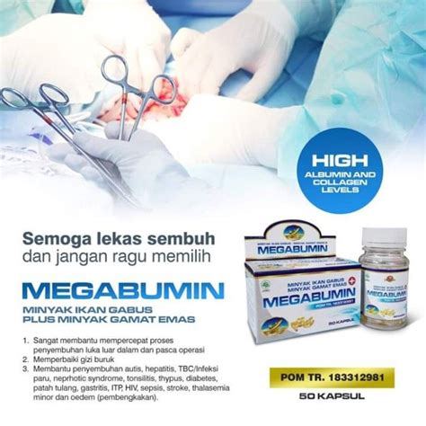 Pro Albumin 100 Ekstrak Ikan Gabus Kutuk Kapsul Albumin Ikan Gabus 50 Kapsul Kapsul