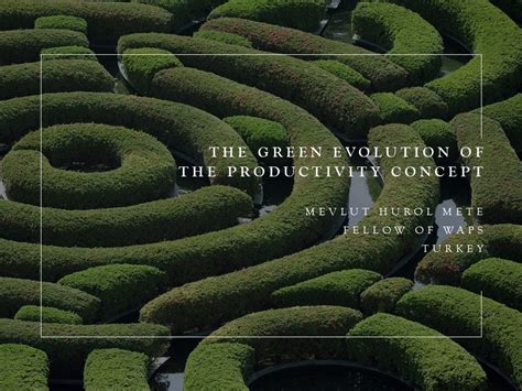 The Green Evolution Of The Productivity Concept By World Academy Of Productivity Science Medium