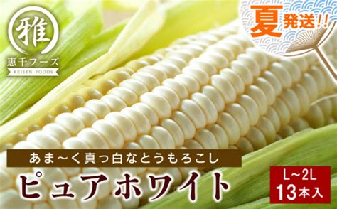 2024年夏発送 白いとうもろこし ピュアホワイト L～2l 13本 北海道千歳市 セゾンのふるさと納税