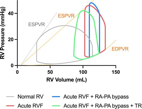Pressure Volume Diagram Heart At Bethany Knibbs Blog