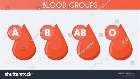 Blood Group Form Drop Blood Different Stock Vector Royalty Free