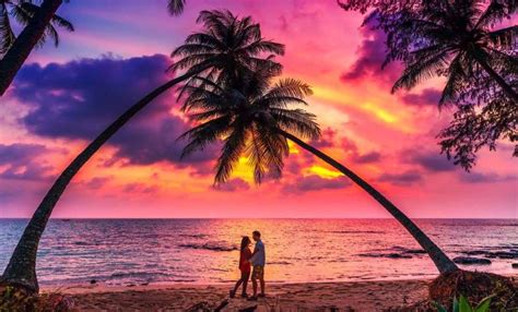 Planning A Goa Honeymoon Here Are Some Top Tips On What To See And Do