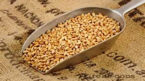 ازبکستان در صدر صادر کنندگان گندم به افغانستان