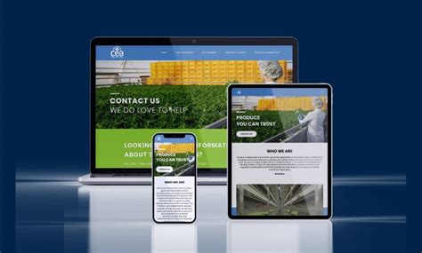 develop a responsive wordpress website or ecommerce store by wp shahdat