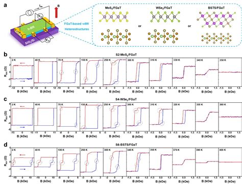 范德华界面磁化学对二维异质结中超室温二维铁磁性的调控 X Mol资讯