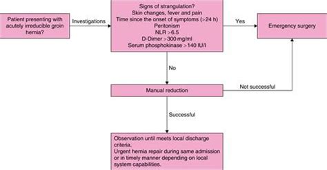 Hellenic Hernia Society On Linkedin Update Of The International
