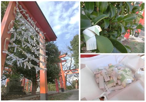 御神籤 伯耆稲荷神社