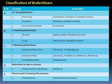 Biofertilizers Importance And Uses
