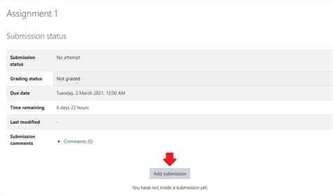 submit assignment