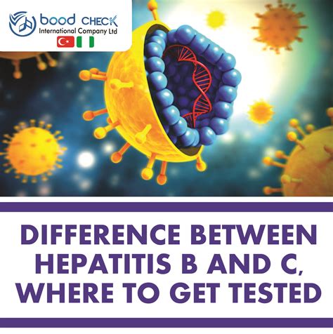 Difference Between Hepatitis B And C Where To Get Tested In Kano State Boodcheck Boodcheck