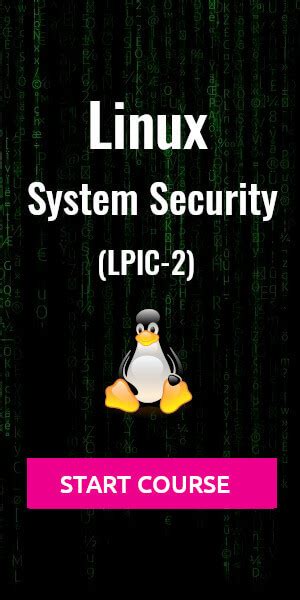 How To Automount File Systems On Linux LinuxBabe