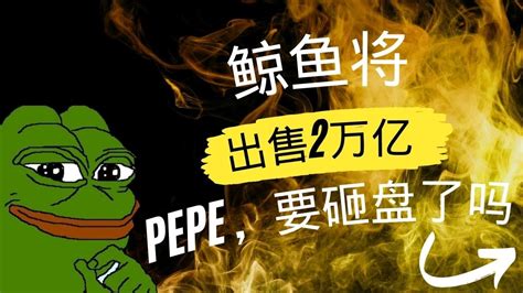 Pepe币 佩佩币 一鲸鱼将在币安出售2万亿枚pepe，马上要砸盘了吗？ Youtube